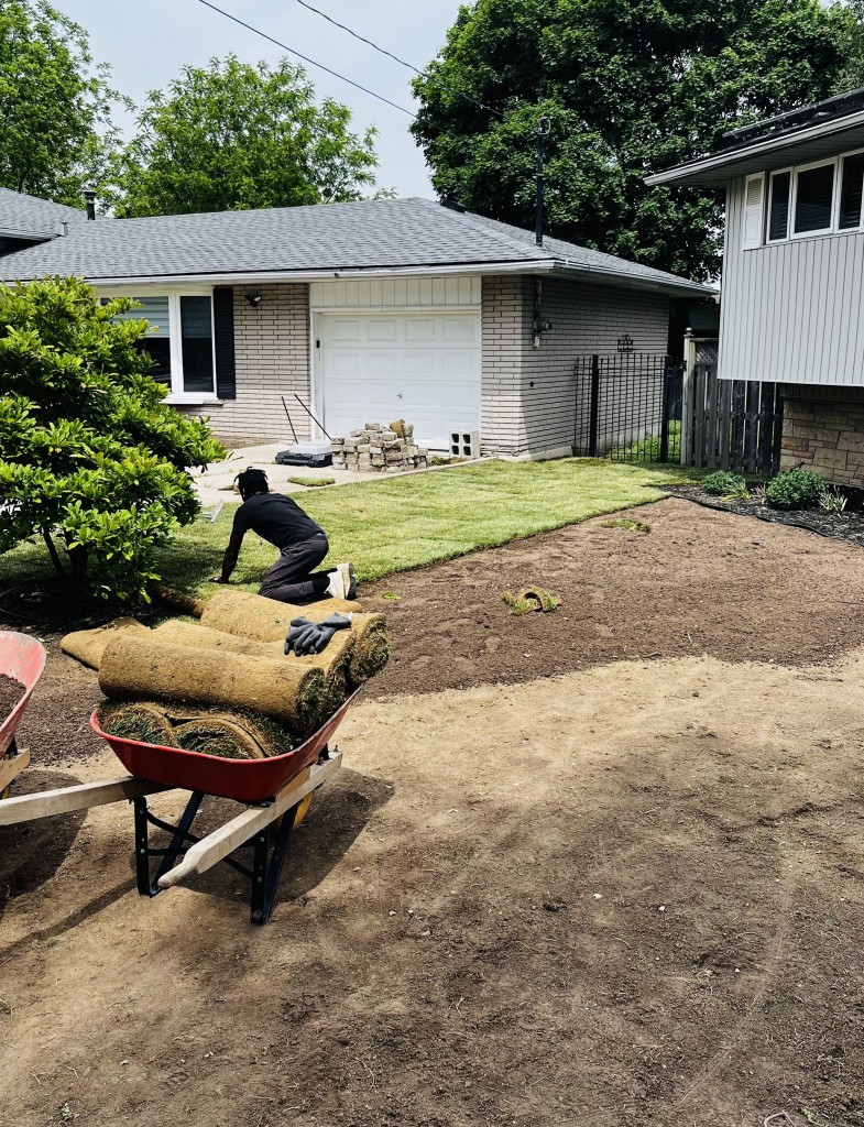 Sod Installation - D'Antonio